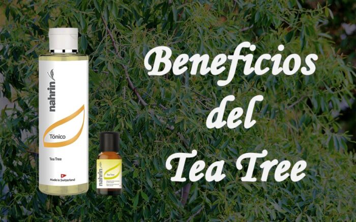 Tea Tree, el antibiótico natural - Nahrin