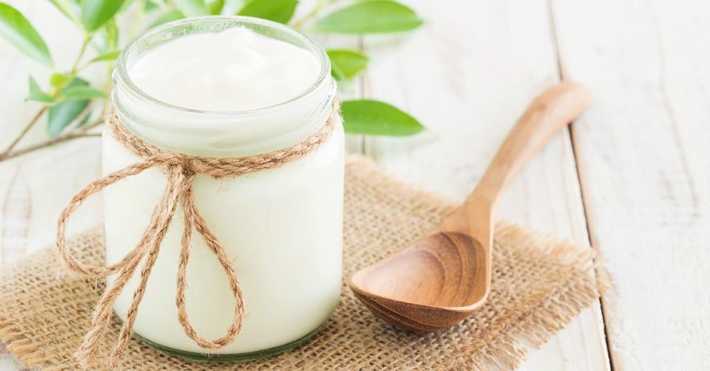 Alimentos probióticos naturales para la flora intestinal - Nahrin
